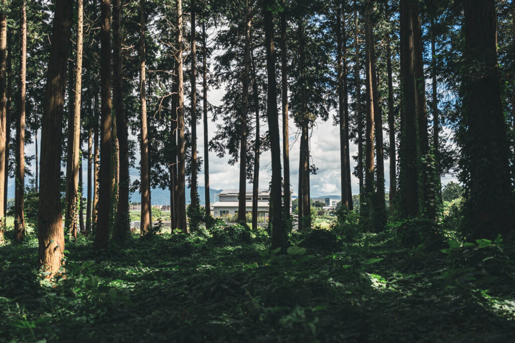 ニュートラルな家 – SINOYA 篠屋木材工業